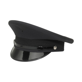 USAF Service Cap