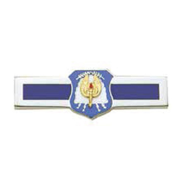 AFROTC & AFJROTC Cadet Badge