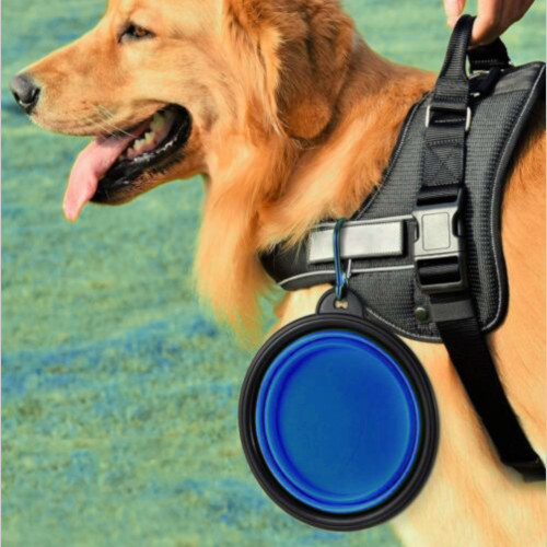 Travel & Grooming Gift Kit for Dogs with Shampoo - Lexelium