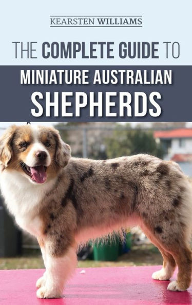 The Complete Guide To Miniature Australian Shepherds : Finding, Caring ...