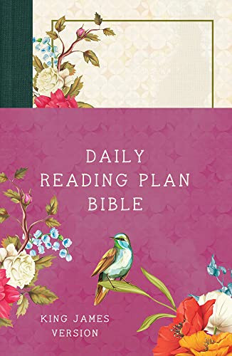 The Daily Reading Plan Bible: The King James Version in 365 Segments ...