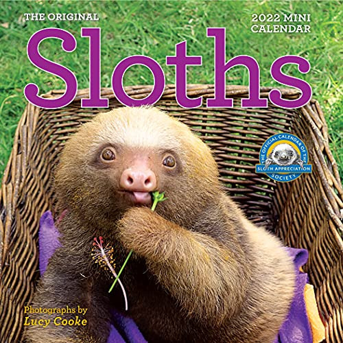 Original Sloths Mini Wall Calendar 2022: 12 Months of Irresistible ...