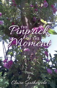 Pinprick - Matthew Cash - 9781521229507- LibroWorld.com