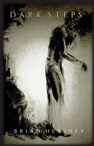 A Step Into Darkness (From The Darkness) - Barb Shadow - 9780999837405 ...