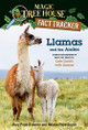 Llamas and the Andes: A nonfiction companion to Magic Tree House #34 ...