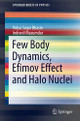 Few Body Dynamics, Efimov Effect and Halo Nuclei (SpringerBriefs in ...