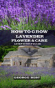 How to Grow Lavender Flower and Care: A Step by Step Guide - George ...