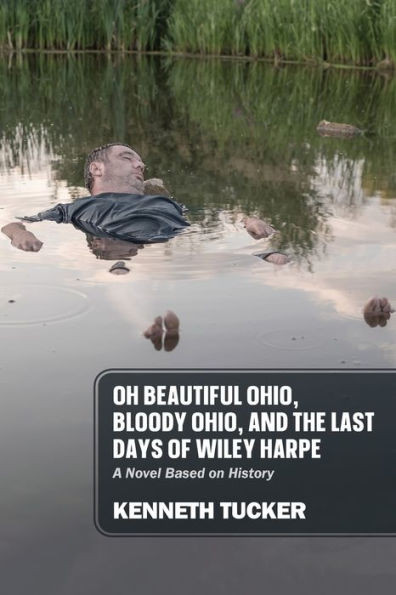 Oh Beautiful Ohio, Bloody Ohio, And The Last Days Of Wiley Harpe: A ...
