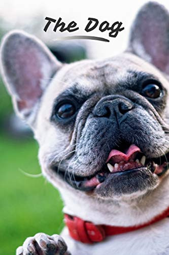 The Dog: Address Book With Alphabetical. Dog Cover Design For Contacts ...