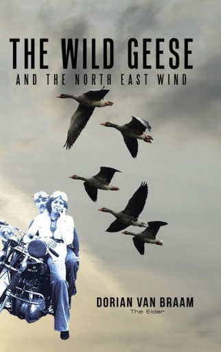 The Wild Geese And The North East Wind - Dorian van Braam (The Elder ...