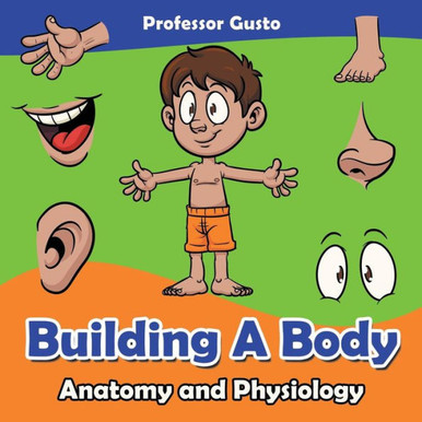 Building a Body | Anatomy and Physiology - Professor Gusto ...