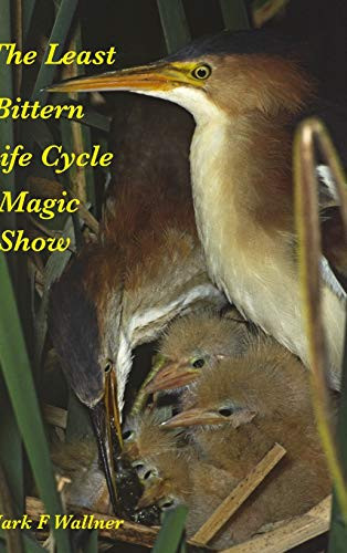 The Least Bittern Life Cycle Magic Show - Mark Wallner - 9781716171055 ...