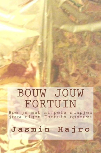 Bouw jouw Fortuin: Hoe je met simpele stapjes jouw Eigen Fortuin ...