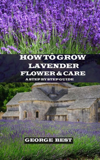 How to Grow Lavender Flower and Care: A Step by Step Guide - George ...