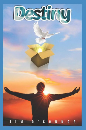 Destiny - Alchemy Daze, Jim O'Connor - 9781795402866- LibroWorld.com