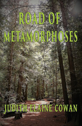 Road Of Metamorphoses - Judith Elaine Cowan - 9781981015368 ...