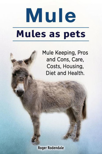 Mule. Mules As Pets. Mule Keeping, Pros And Cons, Care, Costs, Housing ...
