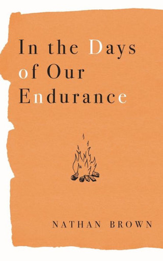 In The Days Of Our Endurance (Pandemic Poems Project) - Nathan Lee ...