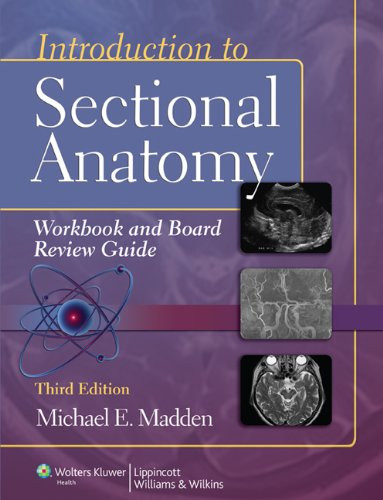 Introduction To Sectional Anatomy Workbook And Board Review Guide ...