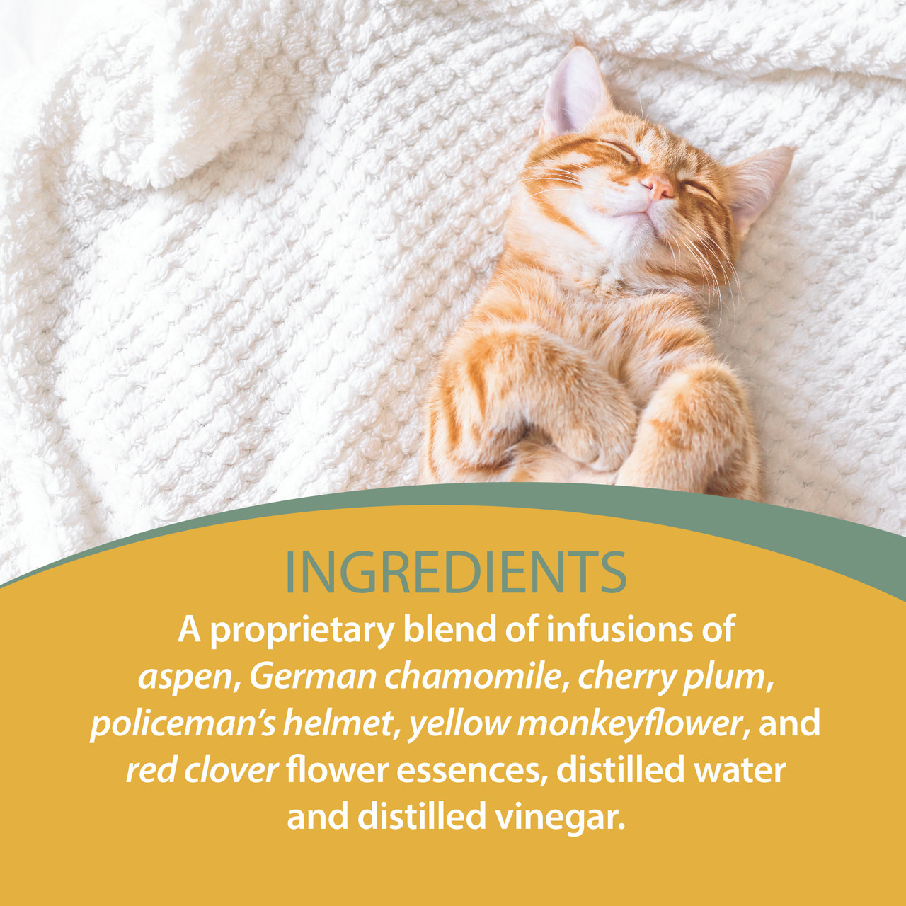 Natural Animal Calming Remedy | Botanical Animal Mellow Out™