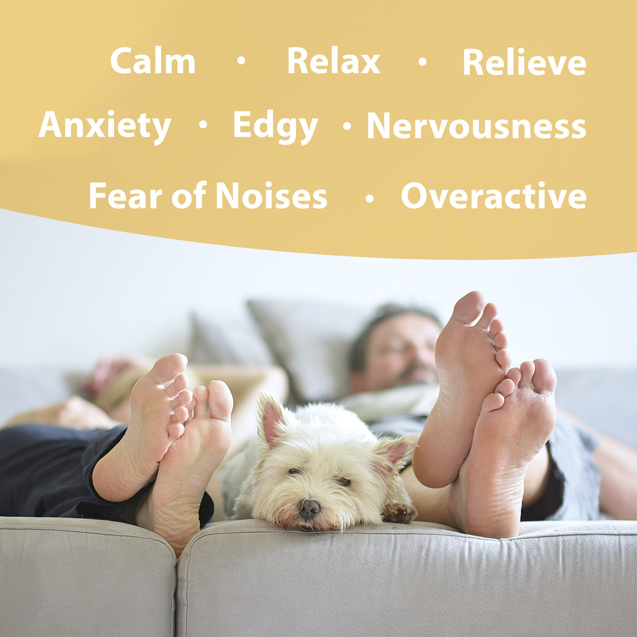 Natural Animal Calming Remedy | Botanical Animal Mellow Out™