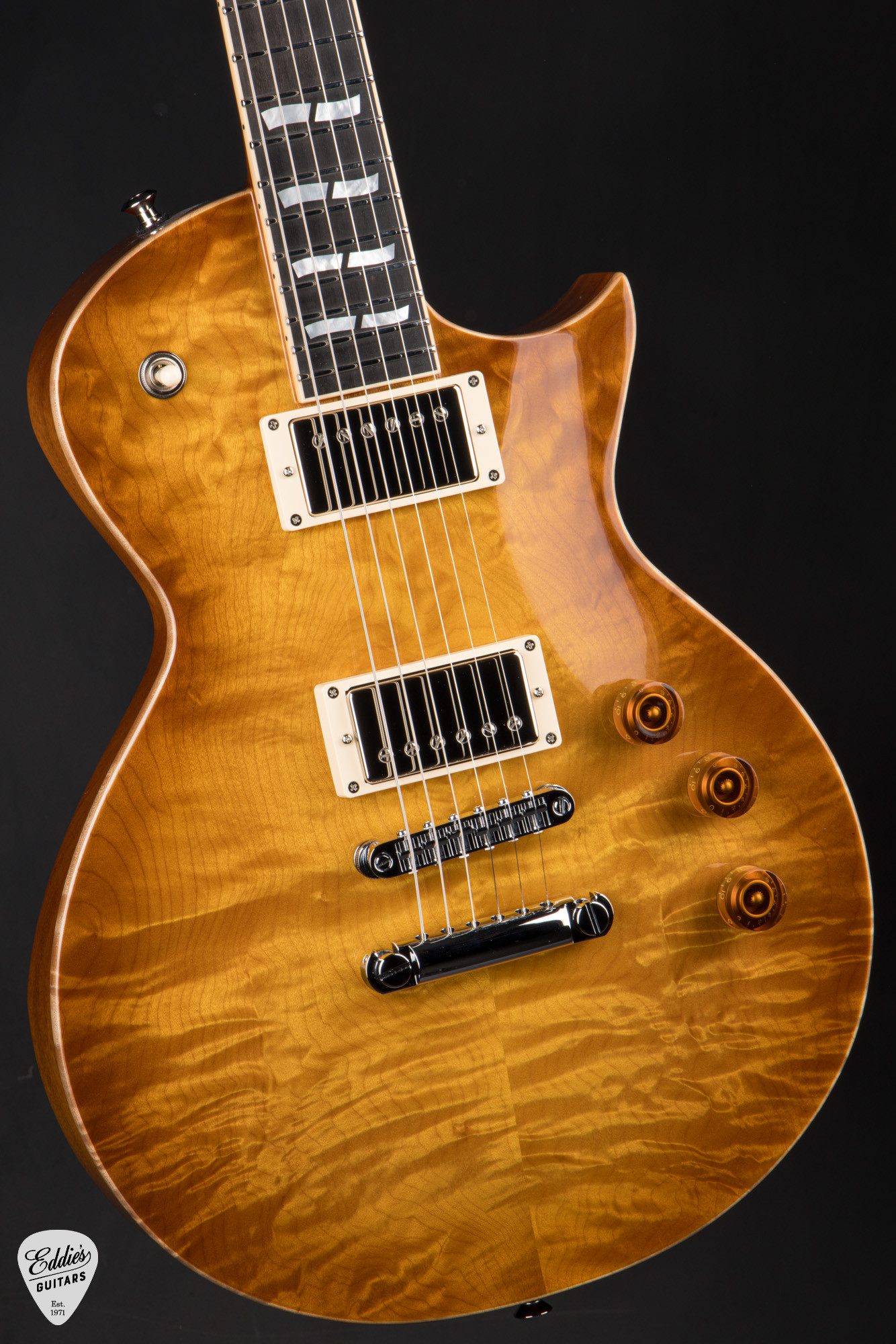 Shop ESP Electric Guitars at Eddie's Guitars