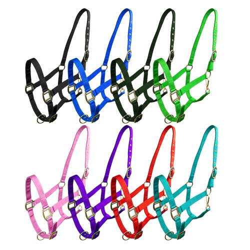 Adjustable Cob Size Triple Ply Nylon Halter - Carolina Tack Supply Inc