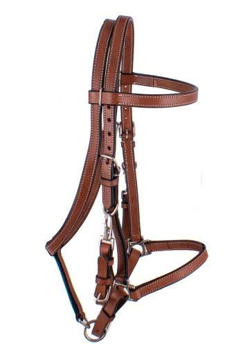 Showman Argentina Cow Leather Halter Bridle Combo - Carolina Tack ...