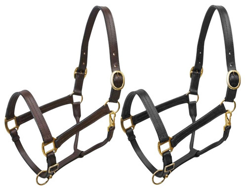 Large Horse Leather Halter w/ Brass Hardware - Carolina Tack Supply Inc