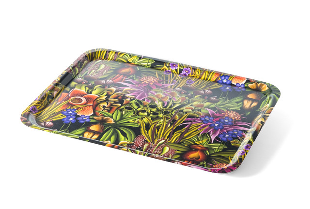 Printed Birch Trays