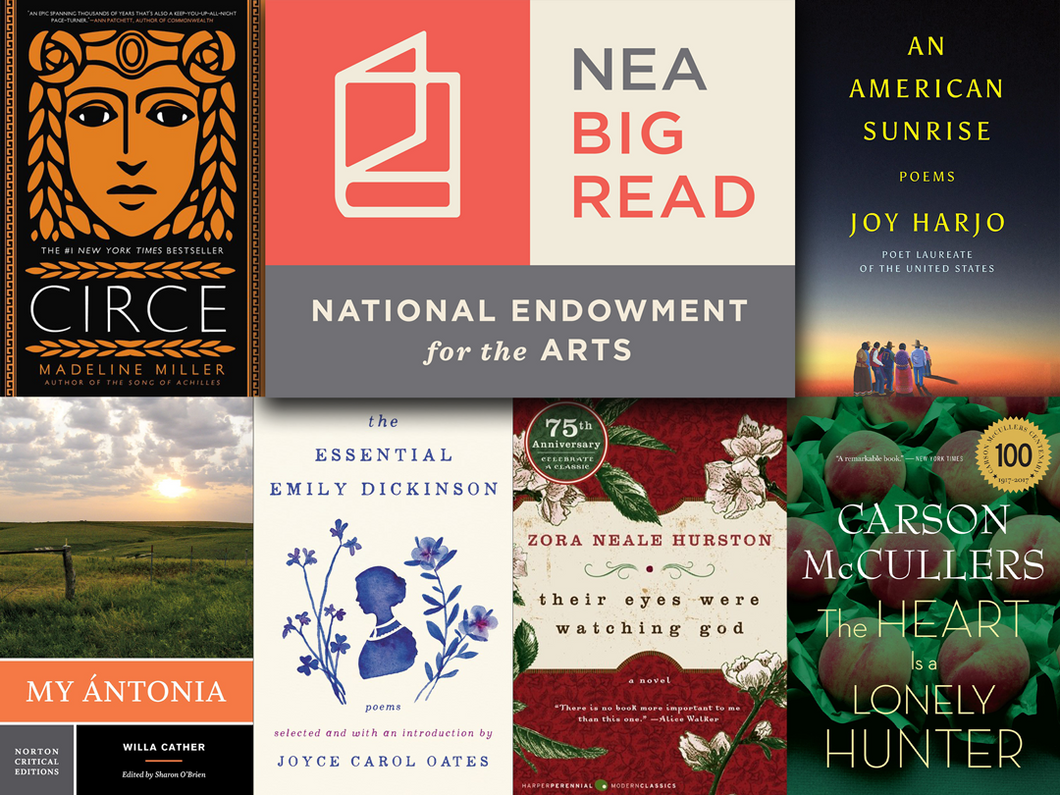 2020 NEA Big Read Program: What You Need to Know - BookPal