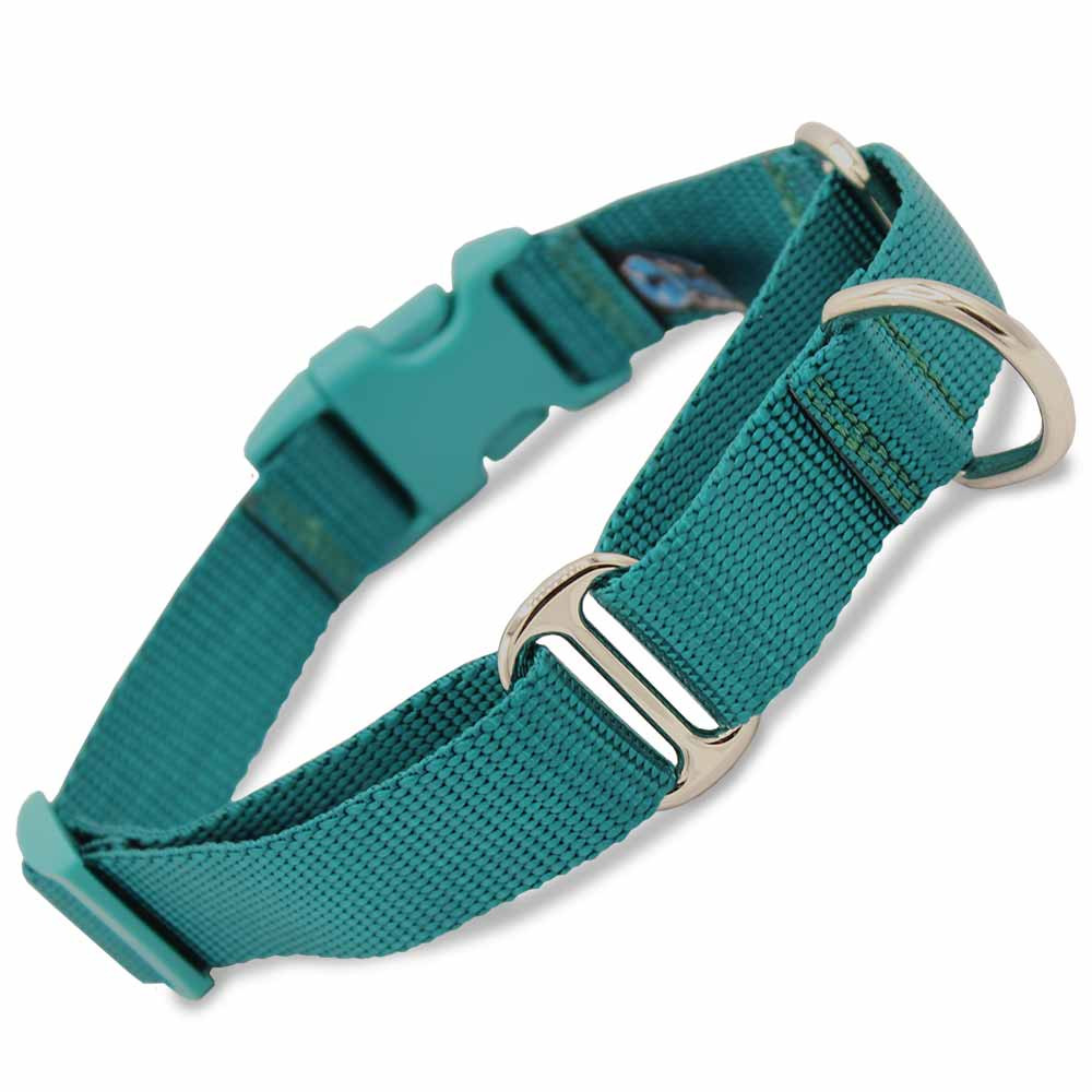 Martingale Collar with Buckle, Teal, Escape-proof dog collar