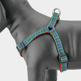 Step In Dog Harnesses, Choke-Free, Adjustable & Made in USA