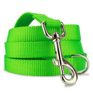 Dog Leashes - Basic Nylon Dog Leashes - The Artful Canine