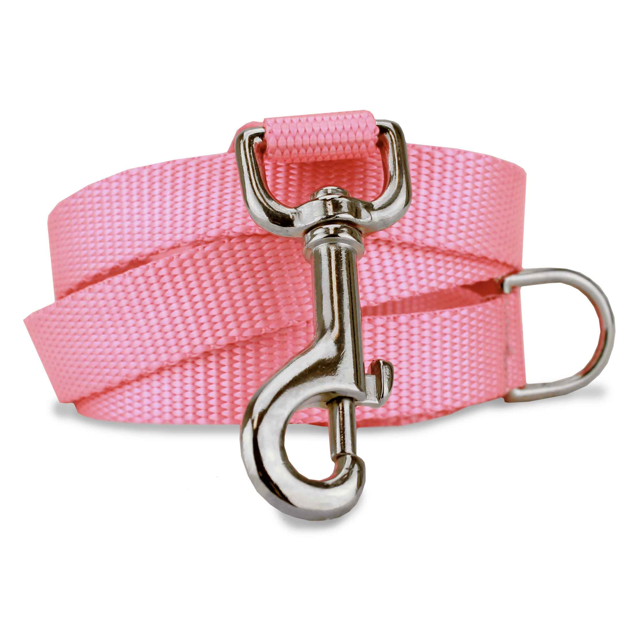 Dog Leashes - Basic Nylon Dog Leashes - The Artful Canine