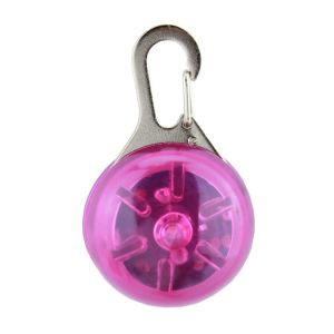 Paw Print LED Dog Tag for Small Dogs, Green