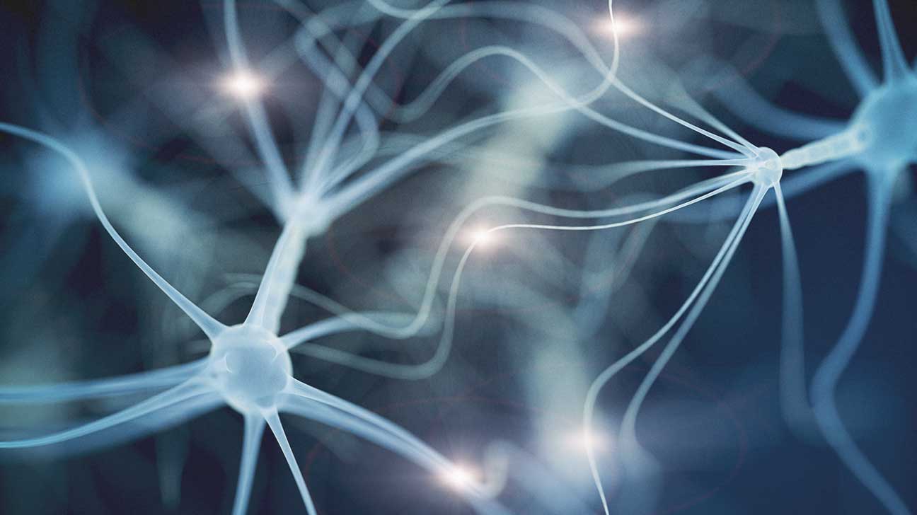 Brain Optimization Throughout The Lifespan - Daily Manufacturing