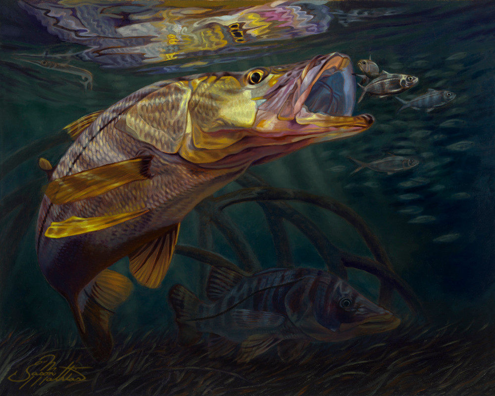 "Illumination" (Snook) - Jason Mathias Studios