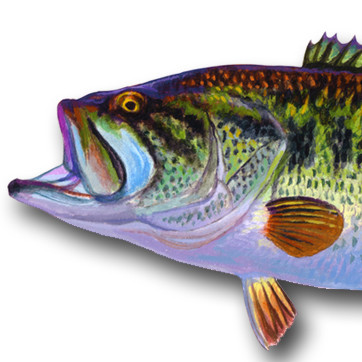 Art - Original Art - Jason Mathias Art Studios