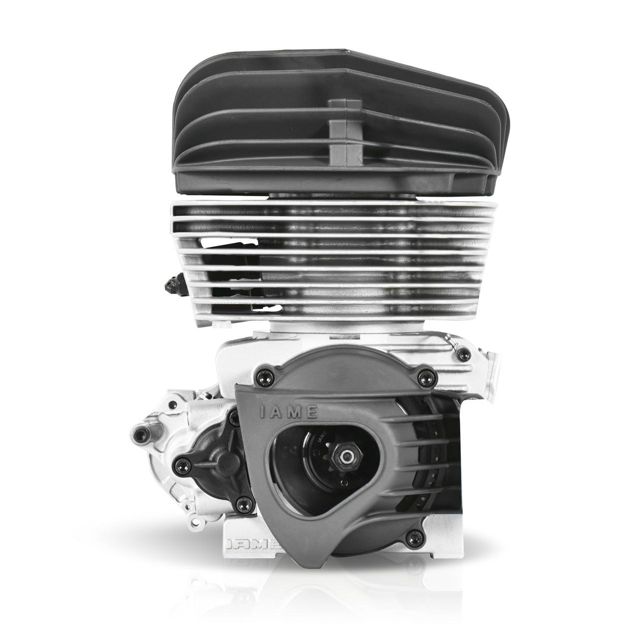 IAME KA100 100cc TAG Engine - L.A.D. Specialties