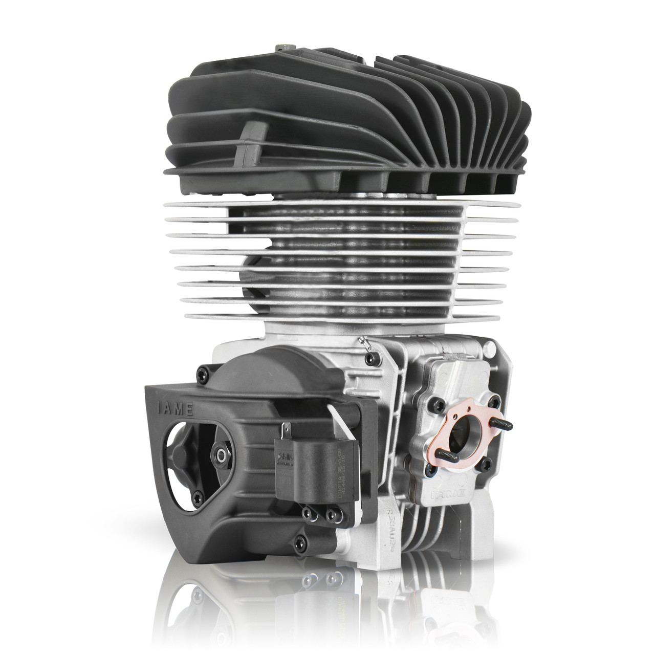 IAME KA100 100cc TAG Engine - L.A.D. Specialties