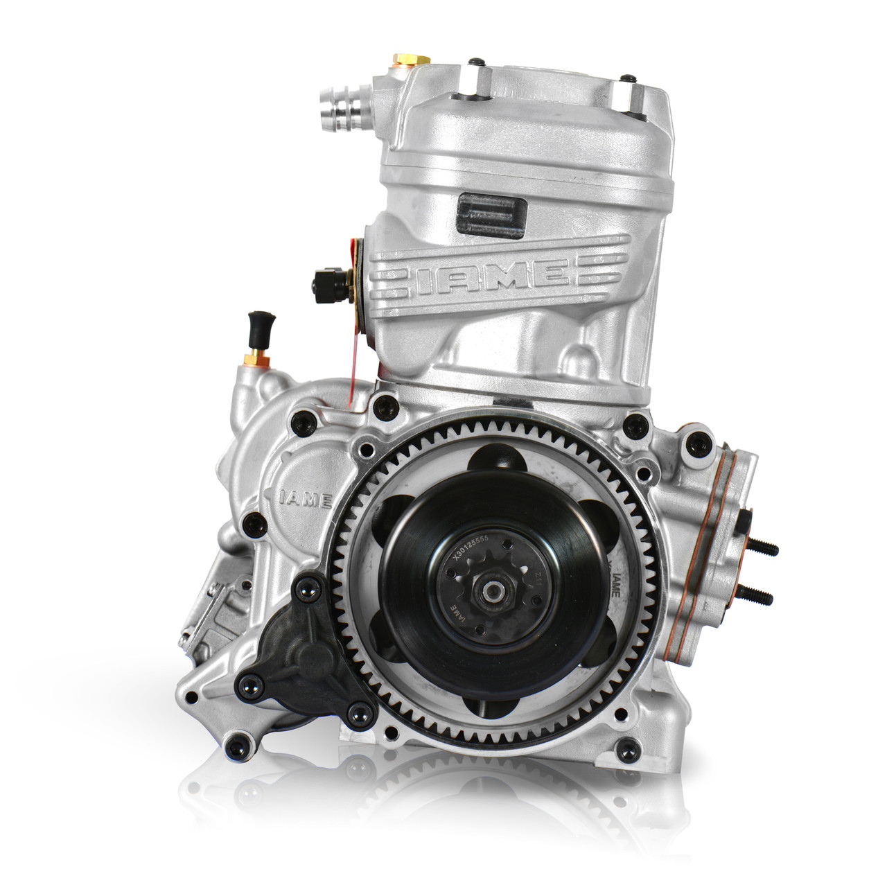 IAME X30 125cc Engine - L.A.D. Specialties