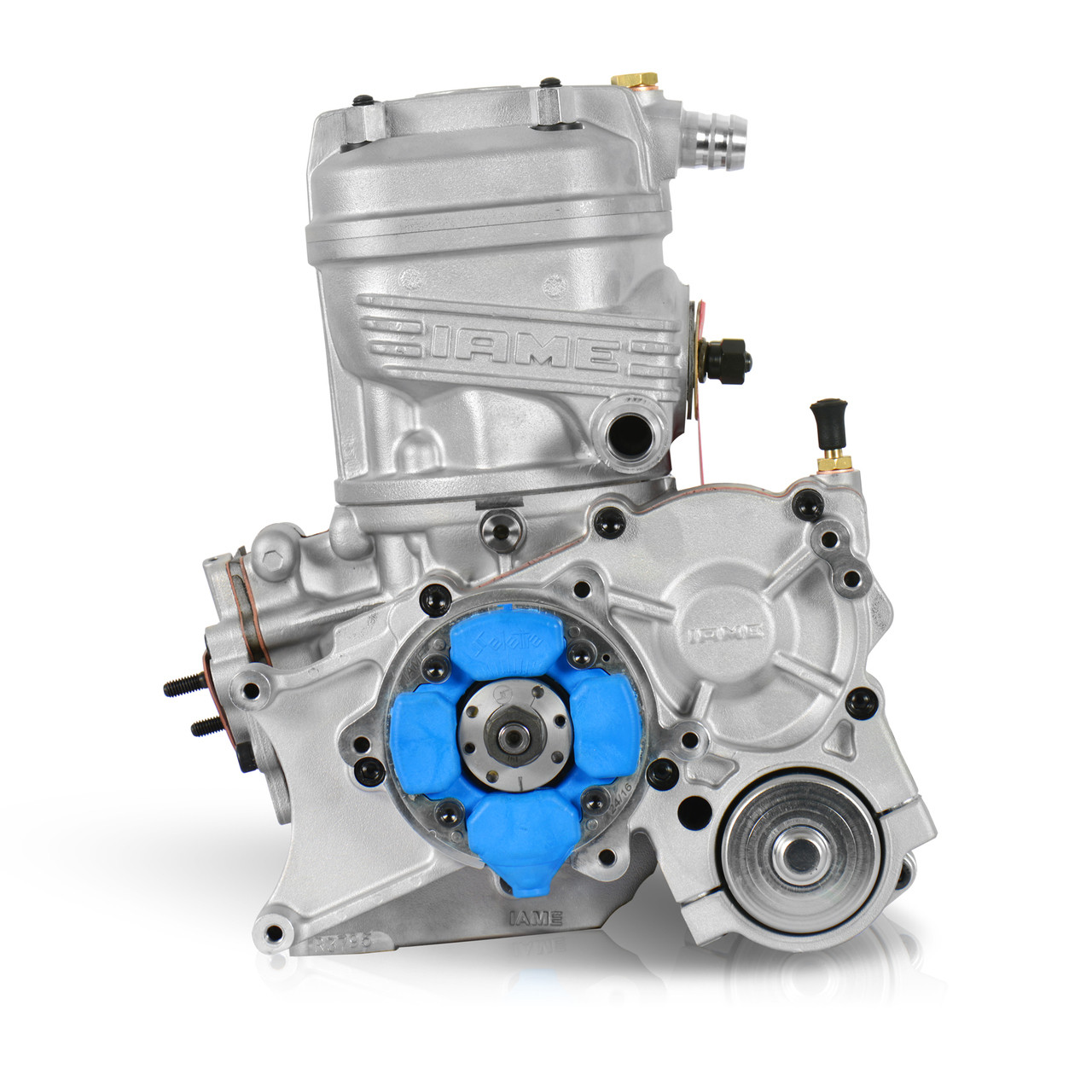 IAME X30 125cc Engine - L.A.D. Specialties