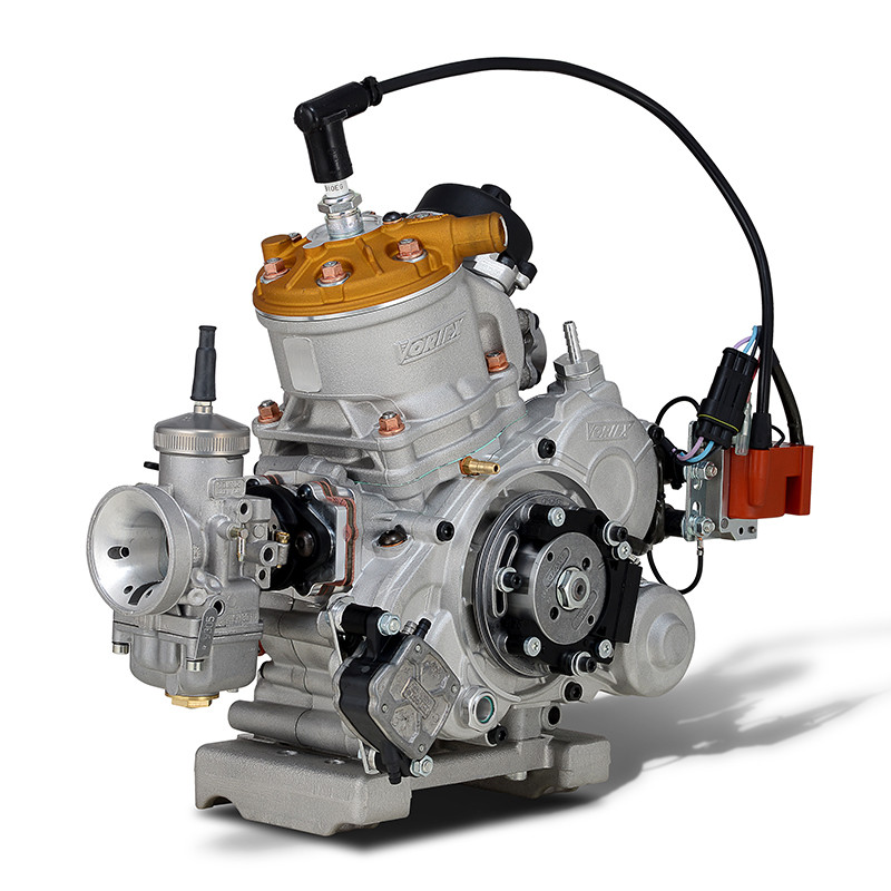 ROK GP 125cc TAG Engine - L.A.D. Specialties