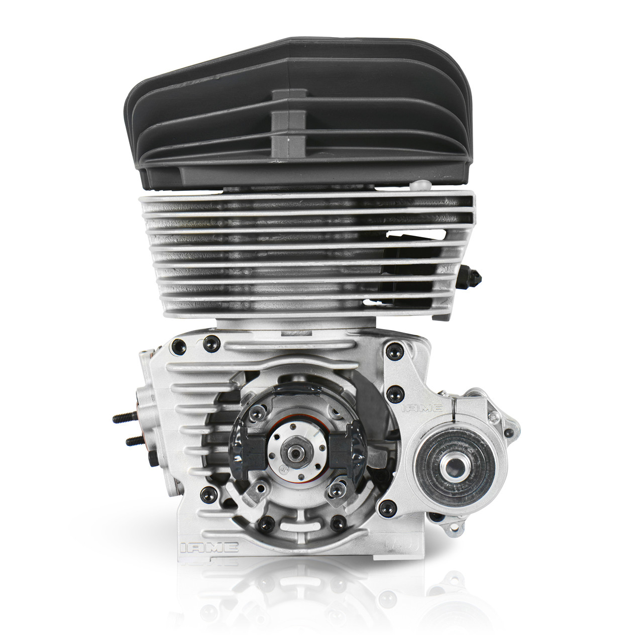 IAME KA100 100cc TAG Engine - L.A.D. Specialties