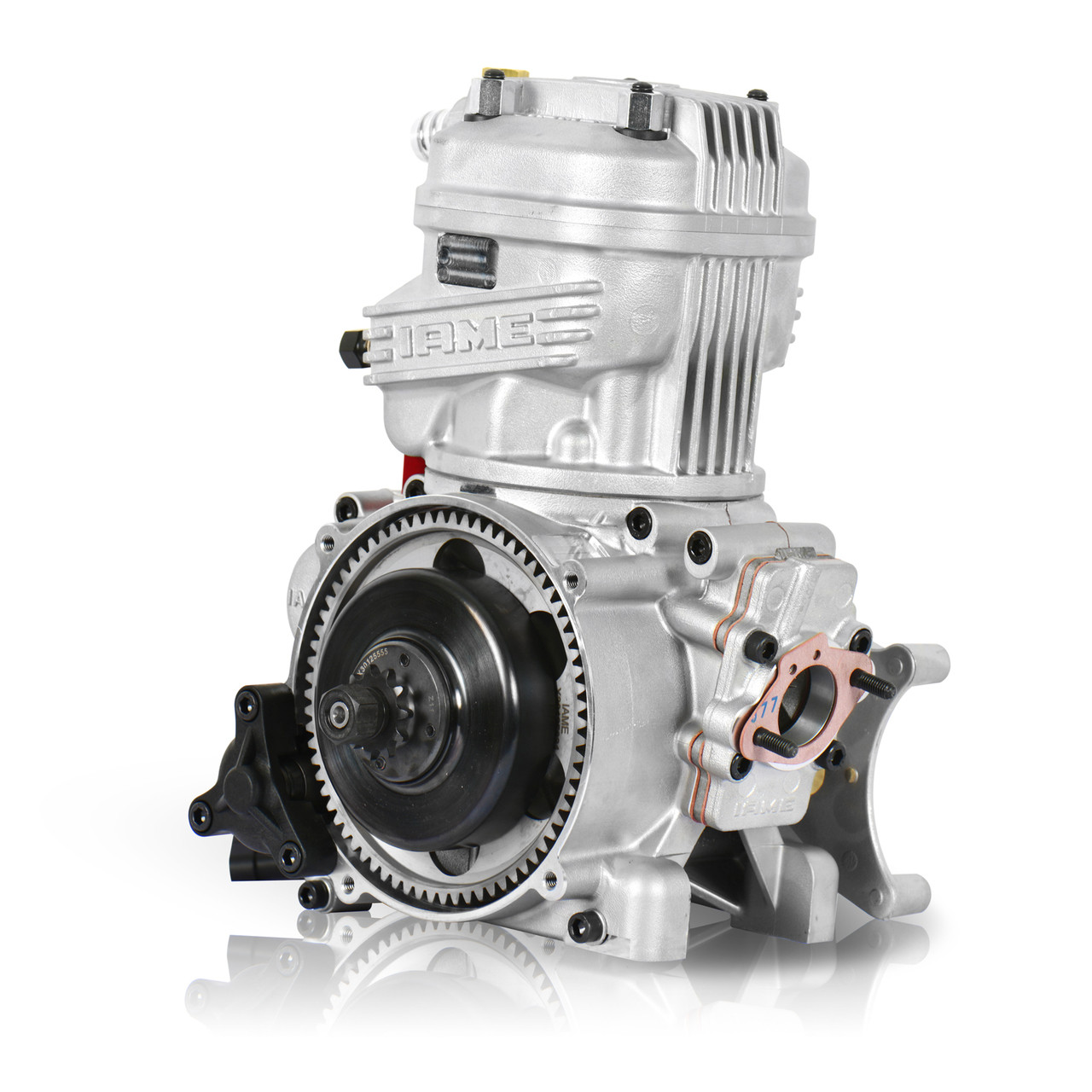 IAME KA100 100cc TAG Engine - L.A.D. Specialties