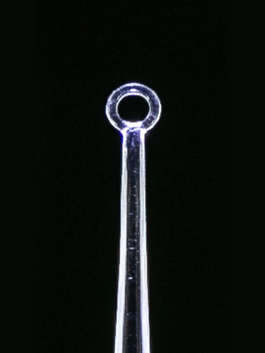Bionix Lighted Ear Curettes - ClearLook