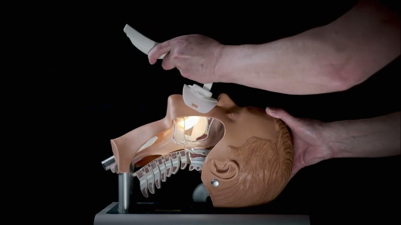 Ambu Airway Management Trainer - Comprehensive Intubation Training