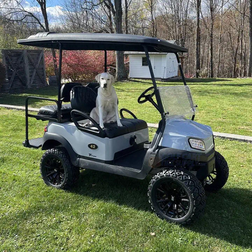 14" VOODOO Golf Cart Wheels and Wanda All Terrain Golf Cart Tires Combo ...