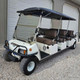 DoubleTake 120" Golf Cart Extended Roof - Choose Your Color | GCTS